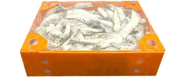 Productos – Cofimar